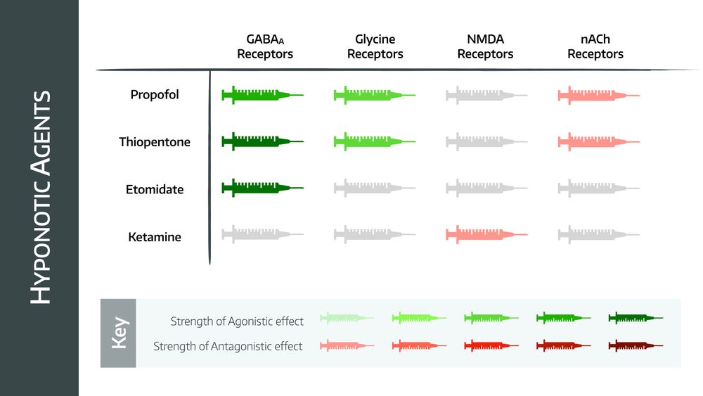 Induction Agents